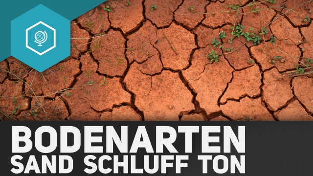 Bodenarten einfach erklärt - simpleclub