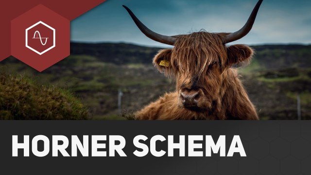 Horner-Schema einfach erklärt - simpleclub