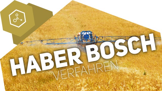 Haber-Bosch-Verfahren einfach erklärt - simpleclub