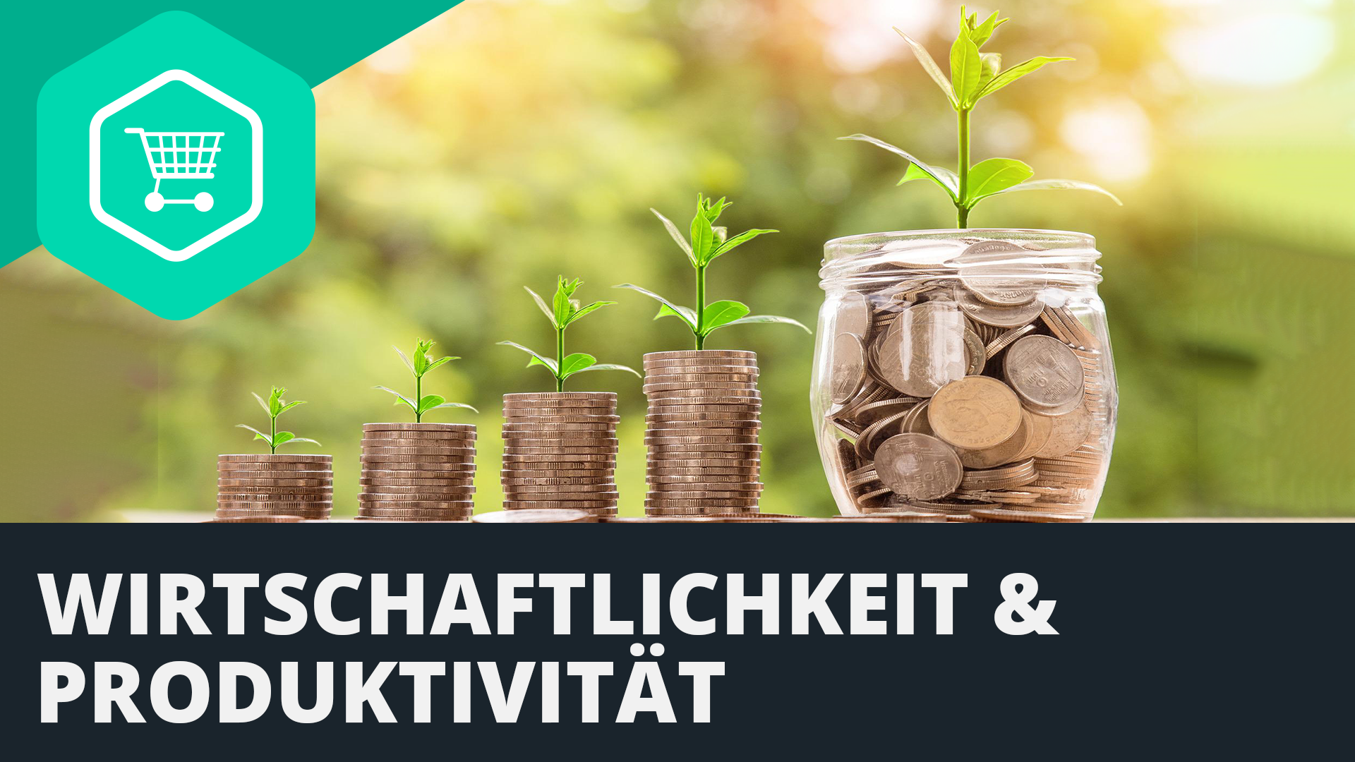 Wirtschaftlichkeit & Produktivität einfach erklärt - simpleclub