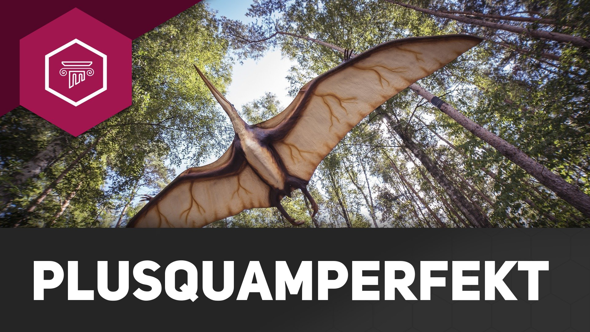 Indikativ Plusquamperfekt Aktiv einfach erklärt - simpleclub