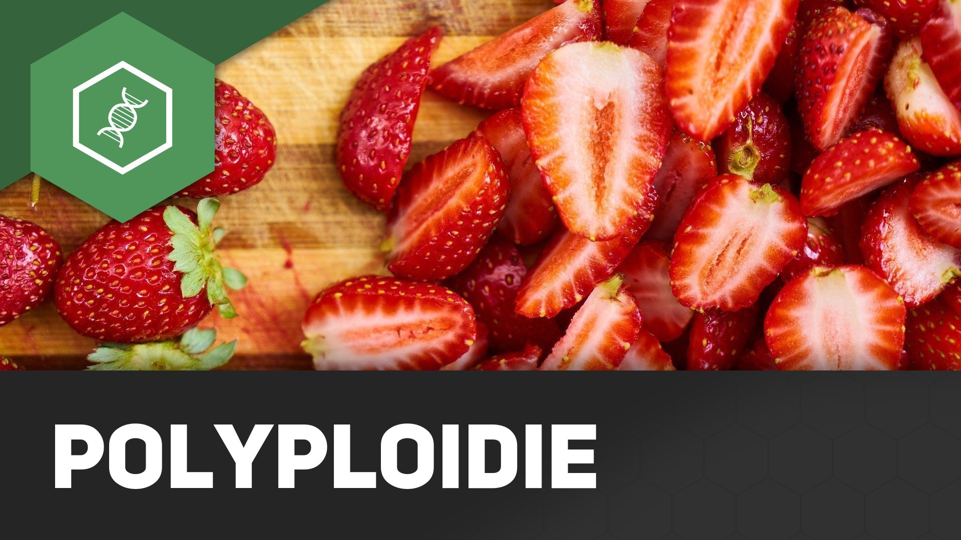 Genommutation einfach erklärt - simpleclub