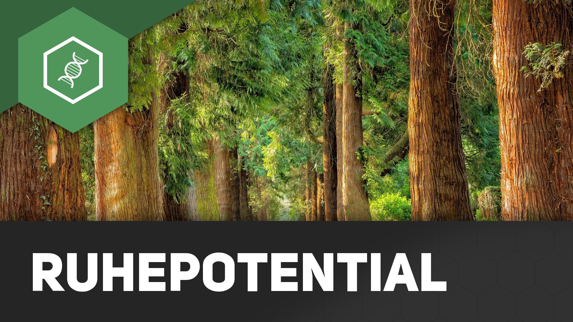 Ruhepotential einfach erklärt - simpleclub