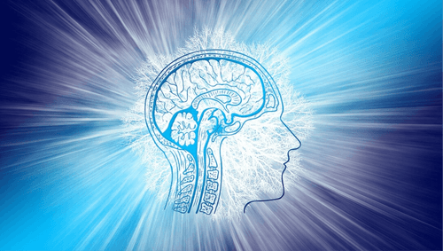 Where is intelligence in the brain?