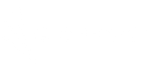 Videon | LiveEdge® Ecosystem