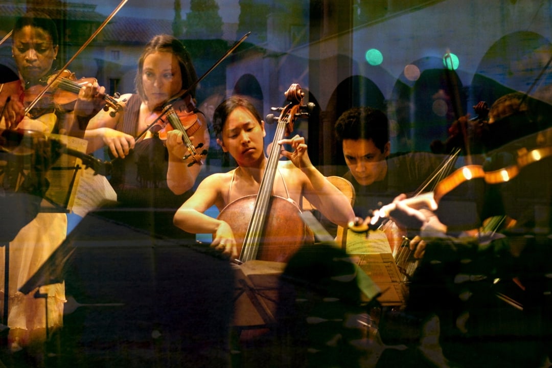 Checchia P. InLiquid Member Portfolio