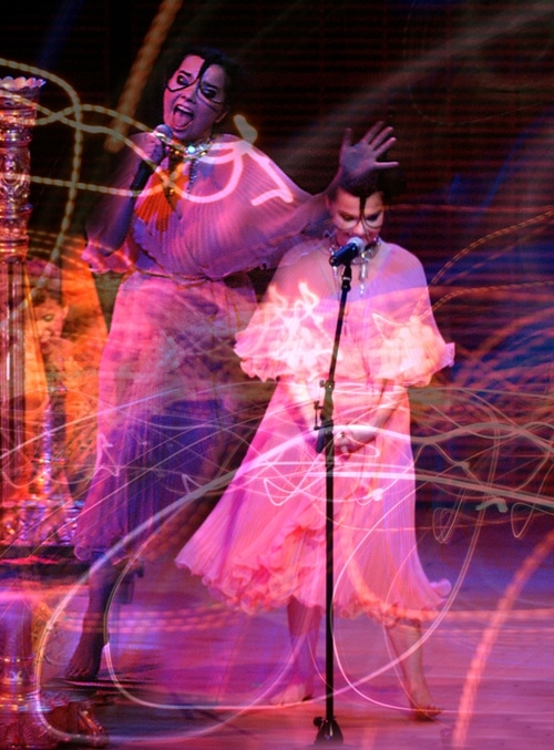 Checchia P. InLiquid Member Portfolio