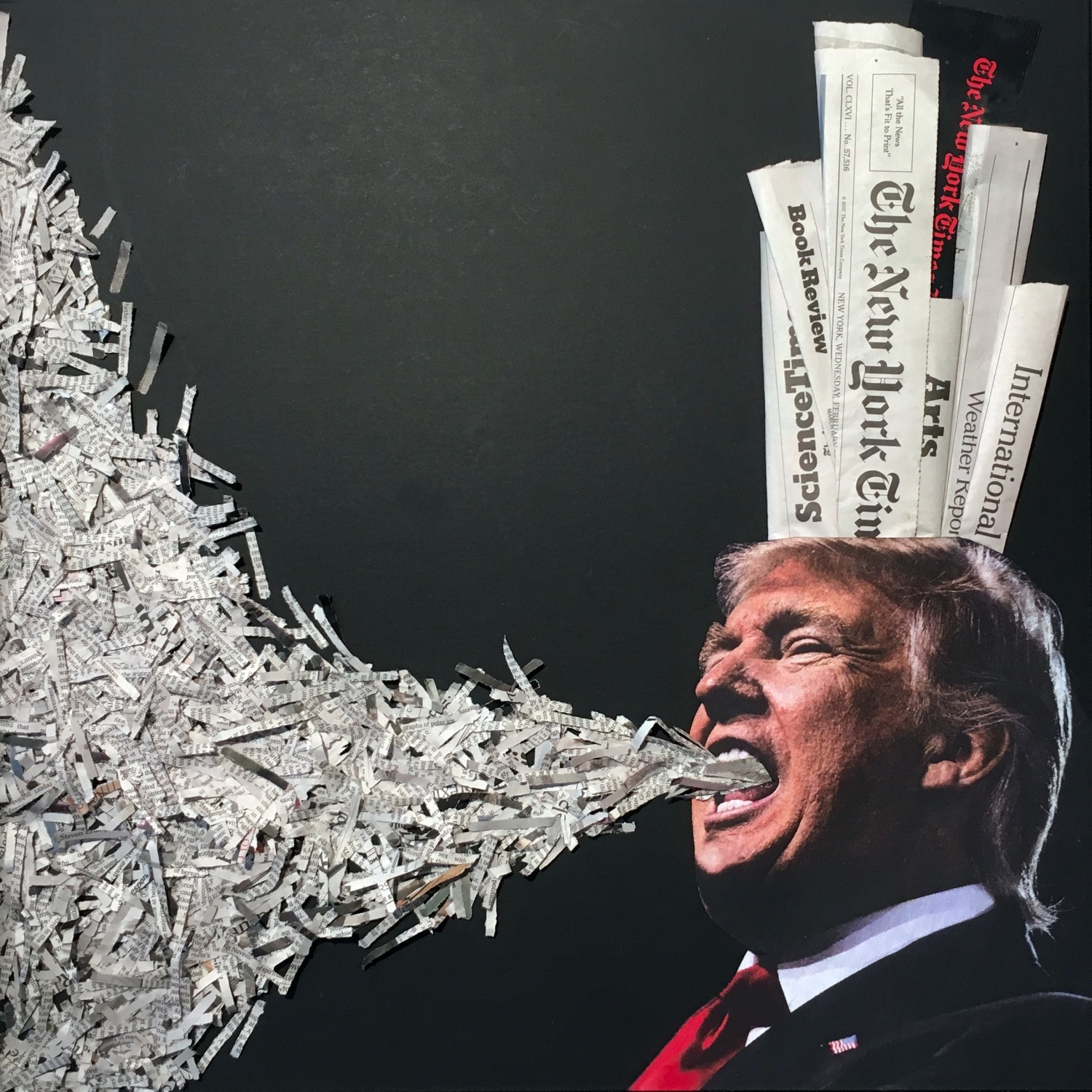 Weisz InLiquid Member Portfolio