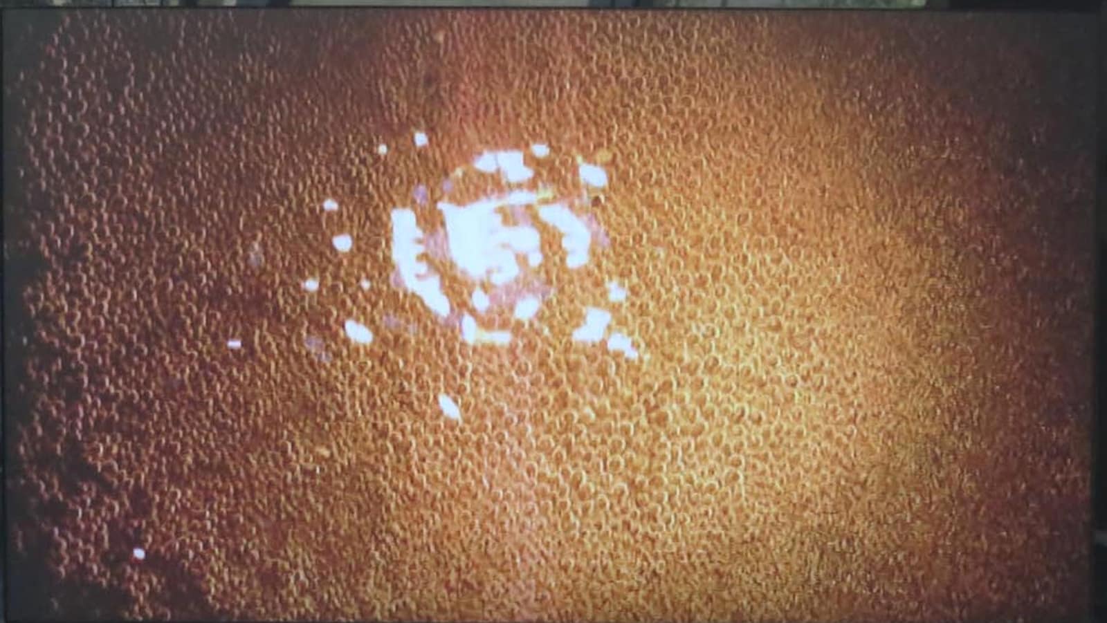 Slovic InLiquid Member Portfolio