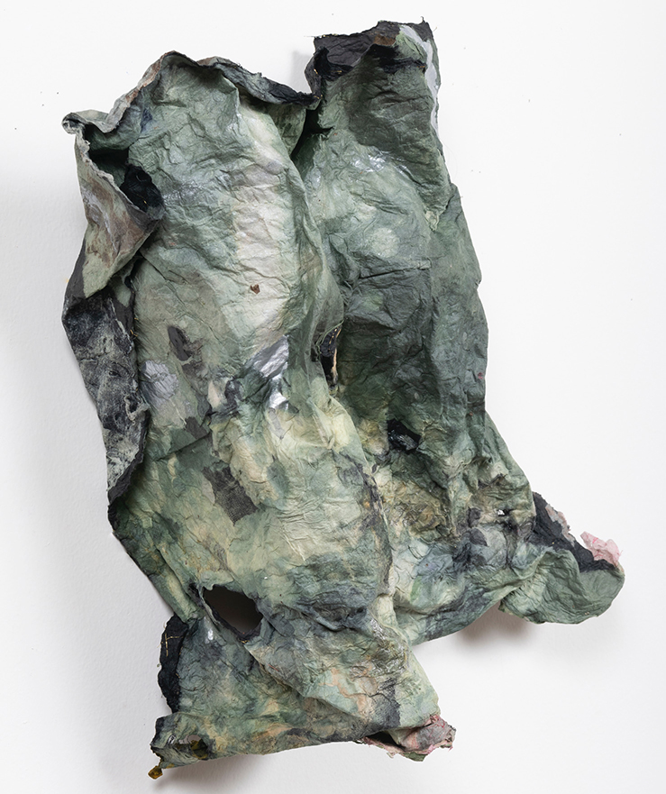 Climate Change and the Art of Futurity: "Crafting Nature" Exhibition ...