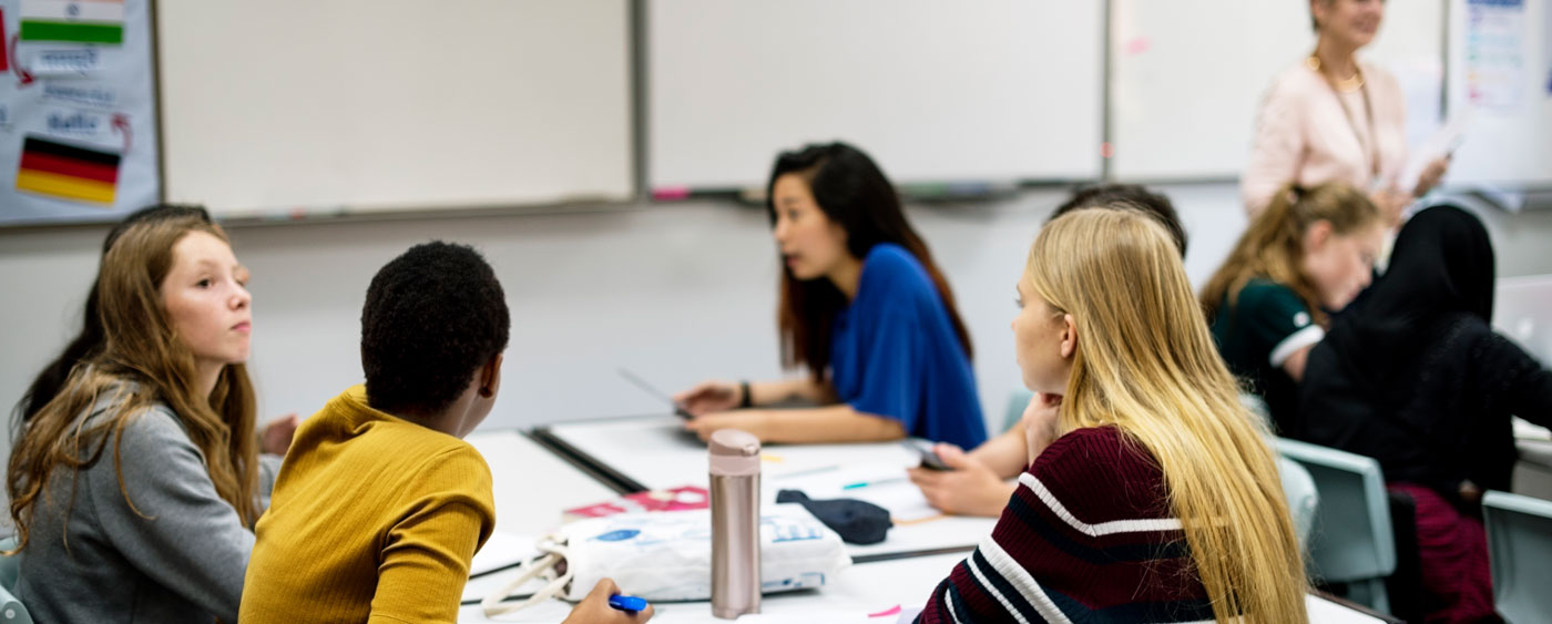 Intrax Education Teacher Exchange