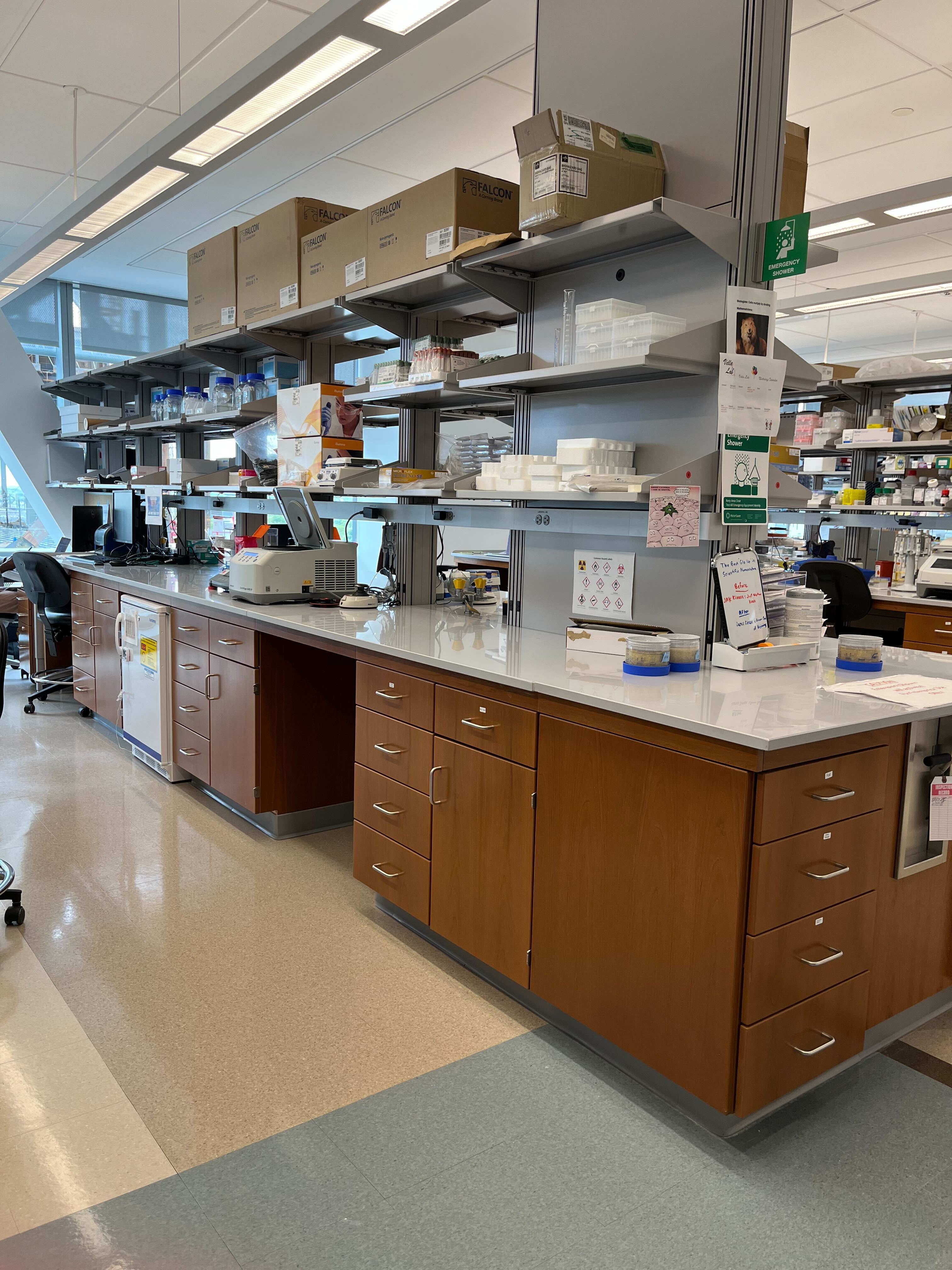 Our Lab