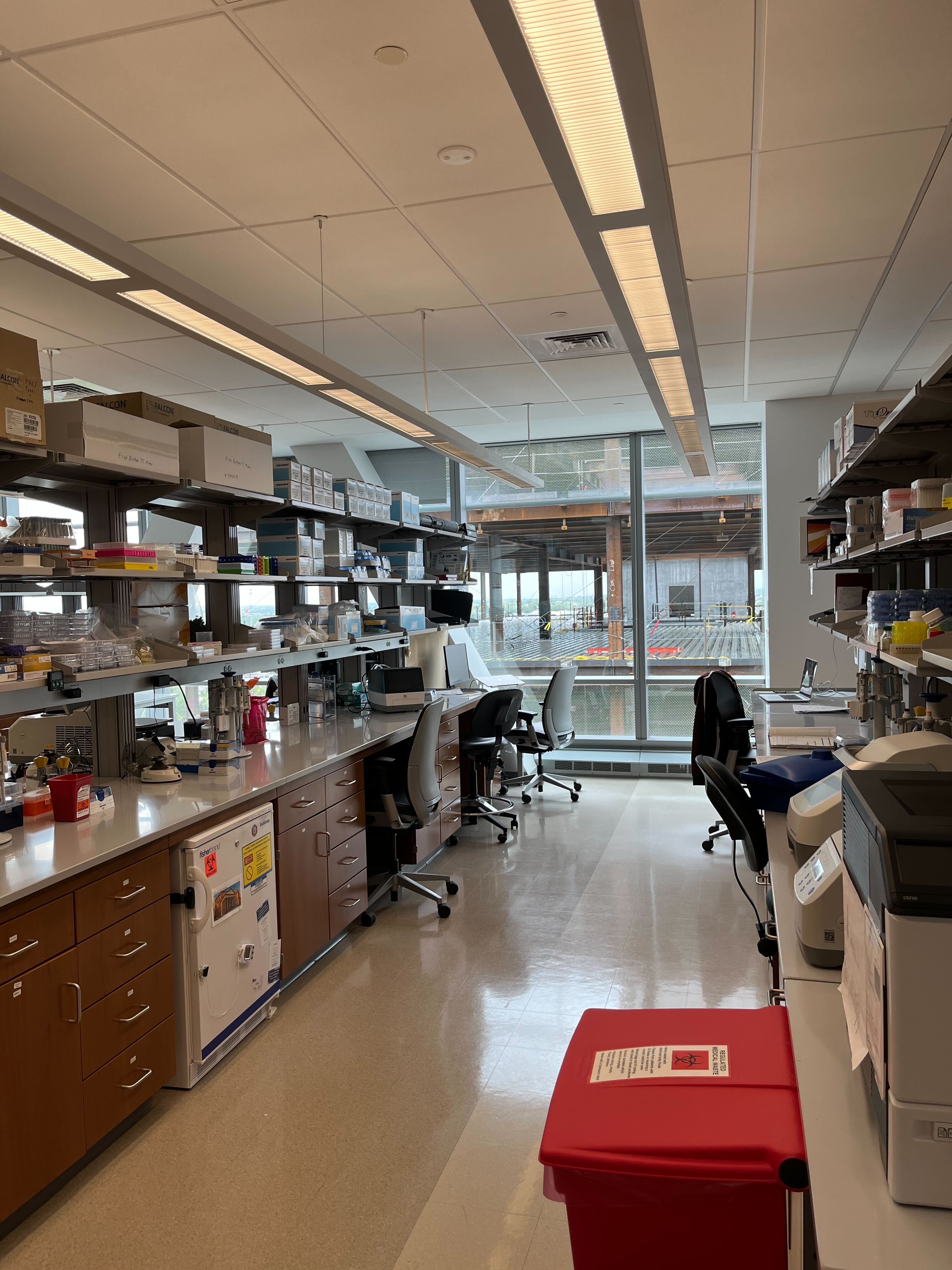 Our Lab