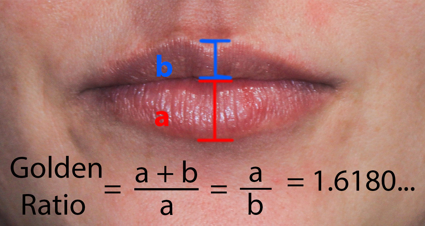 The Golden Ratio in Facial Aesthetics | Arlo Medical