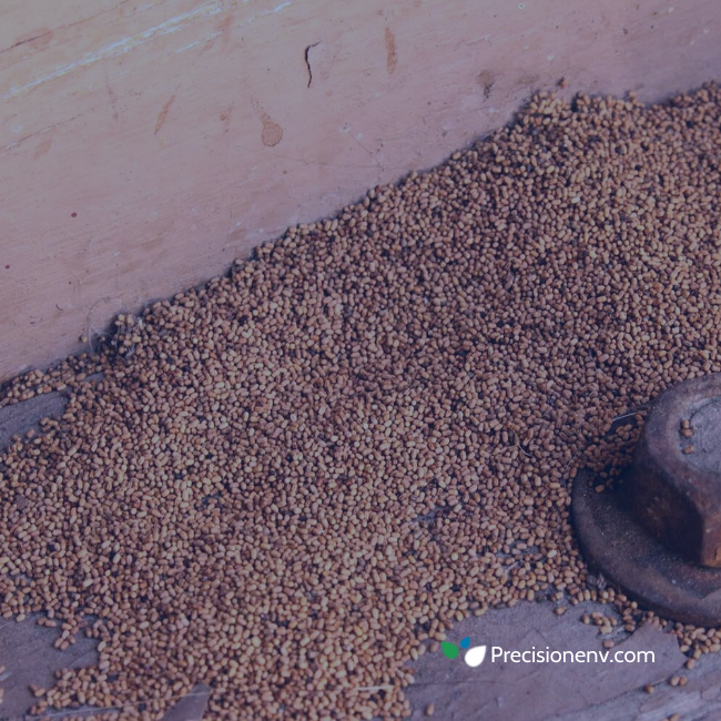 Heat Treatment vs Fumigation - Expert Pest Control - Precision ...