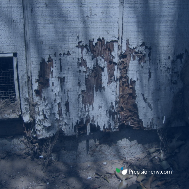 Heat Treatment vs Fumigation - Expert Pest Control - Precision ...