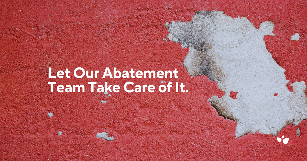Ultimate Lead Abatement Guide - Precision Environmental