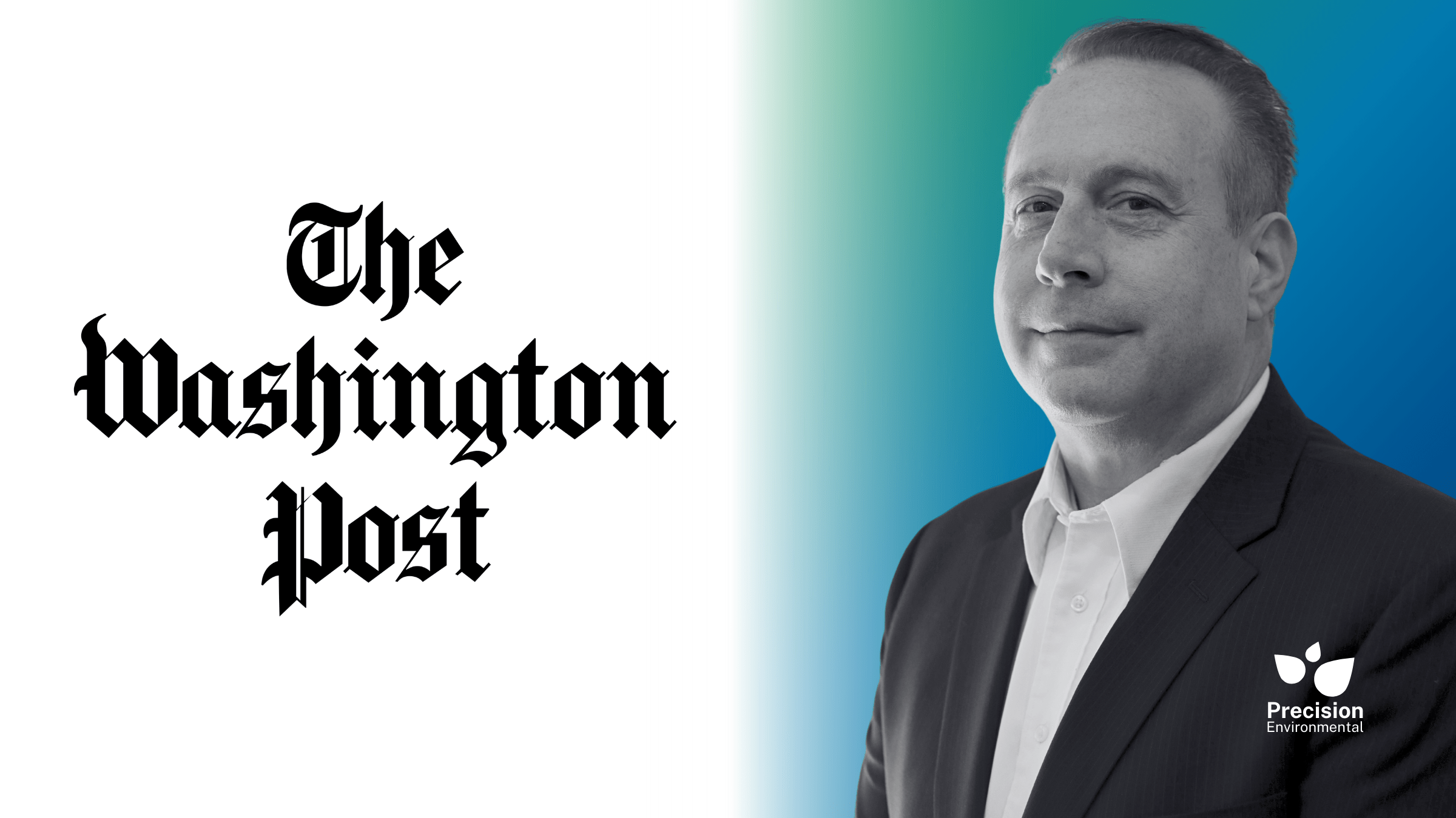 The House-Eating Fungus: Poria Incrassata - Precision Environmental