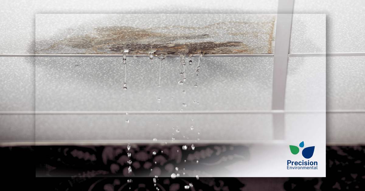 Managing Commercial Building Water Damage - Precision Environmental