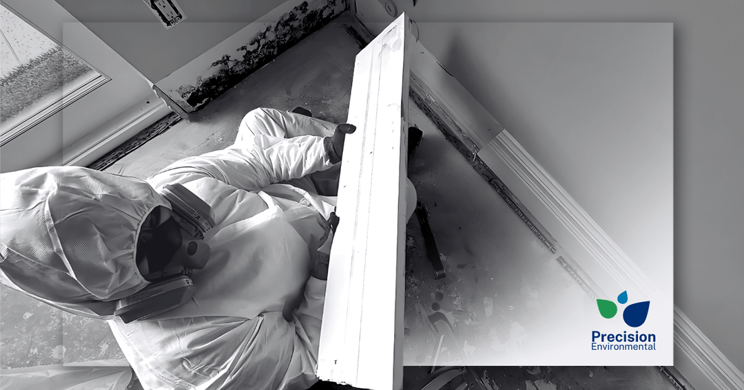 Indoor Mold: A Comprehensive Fact Sheet - Precision Environmental