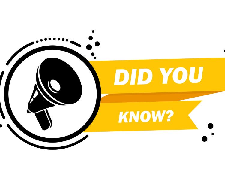 1950's Fun Facts | Blog | Tea & Toast