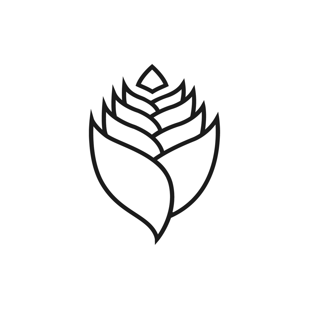 CPGD Builder - Genuine Ginger