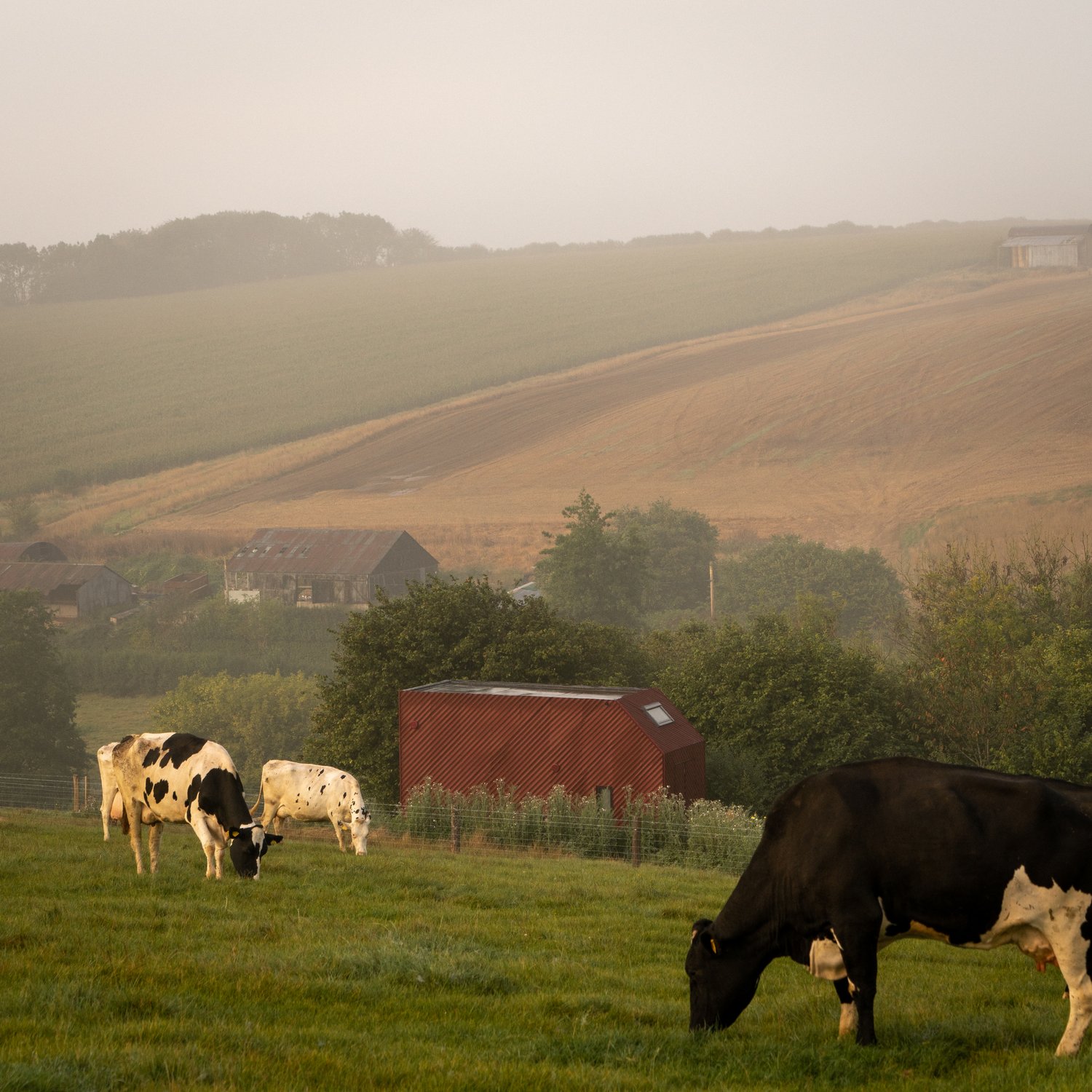 WikiHouse projects gallery