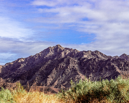 Yuma Pest Control - #1 in Pest Solutions ($57 Plans)