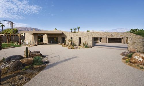 Scorpions in Arizona: Guide to Scorpion Identification and Safety