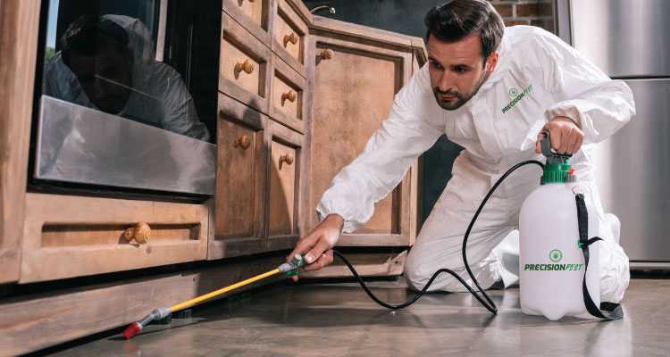 Precision Pest Control - #1 in Pest and Termite Control