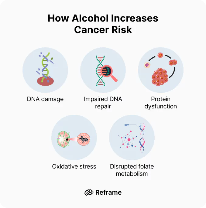 Alcohol Related Cancers: Alcohol And Cancer Risks