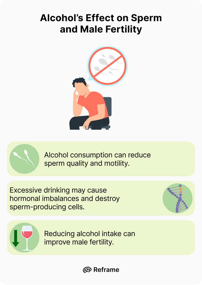 How Does Alcohol Affect Sperm Health and Male Fertility?