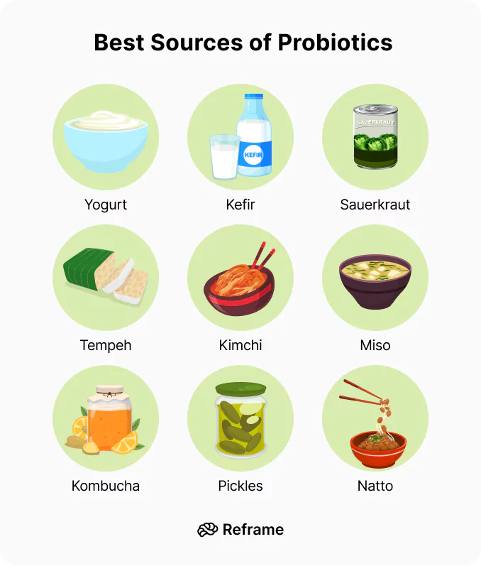 Can You Drink Alcohol While Taking Probiotics