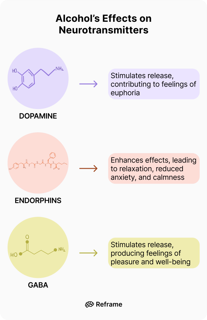 Why Alcohol Makes You Feel Good | Reframe App