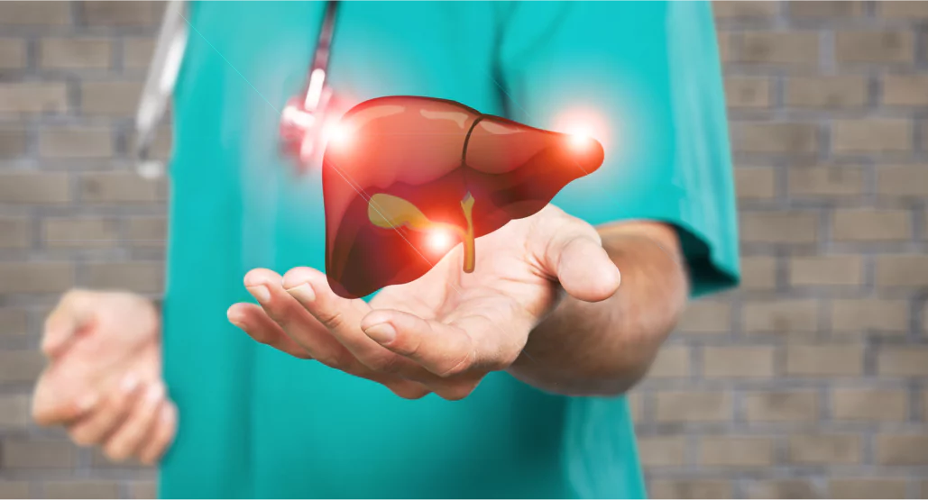 What Foods Help Repair the Liver? | Reframe App