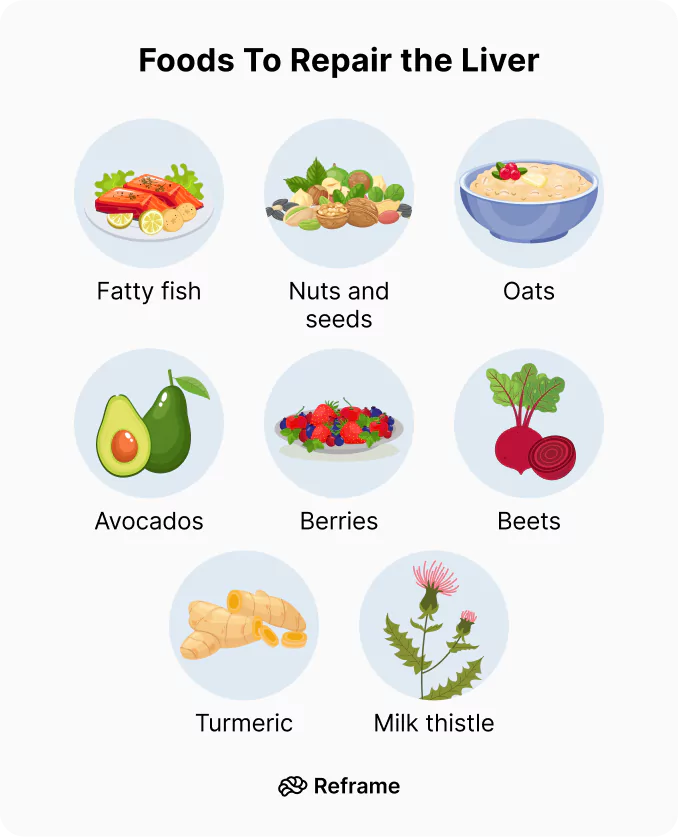 What Foods Help Repair the Liver? | Reframe App
