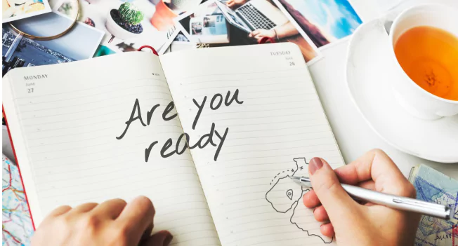 Novelty: Why It Matters and How To Embrace It