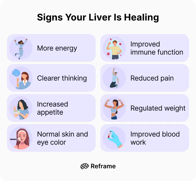 Can Your Liver Heal Itself? Signs and Symptoms of Recovery