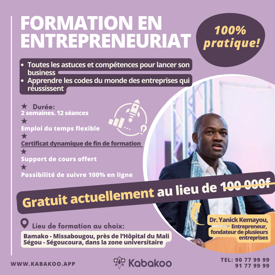 Une formation en entrepreneuriat pour augmenter tes revenus de 100% et ...