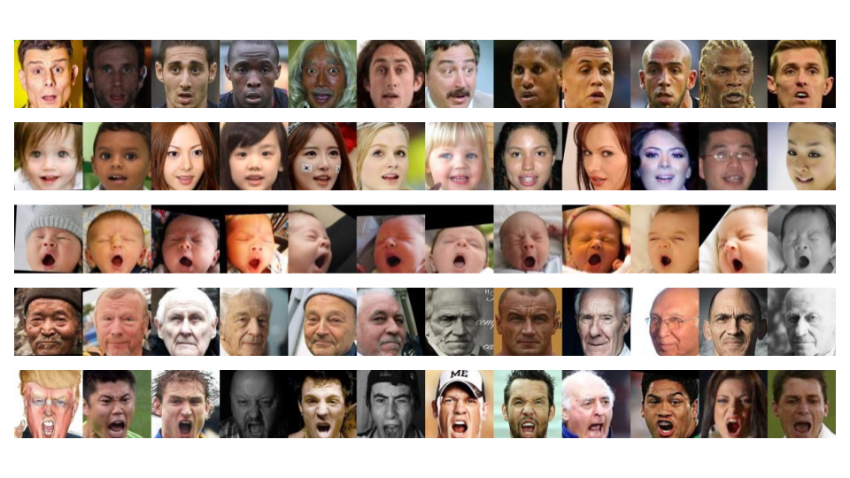 Mobius Labs | Automatic Facial Expression Analysis and Customized ...