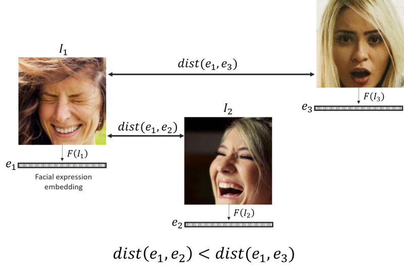 Mobius Labs | Automatic Facial Expression Analysis and Customized ...