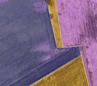 Annotation Tool | SuperAnnotate