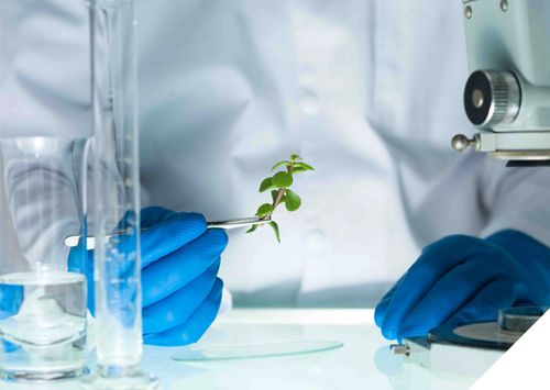 Application areas for our bio-based PFAS-free membranes and dispersions