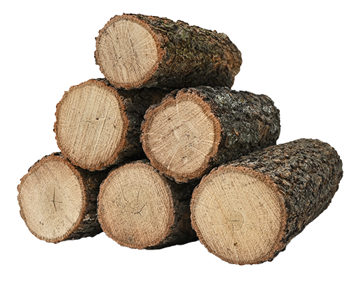 Cellfion - cellulose-based, PFAS-free membranes and dispersions for ...