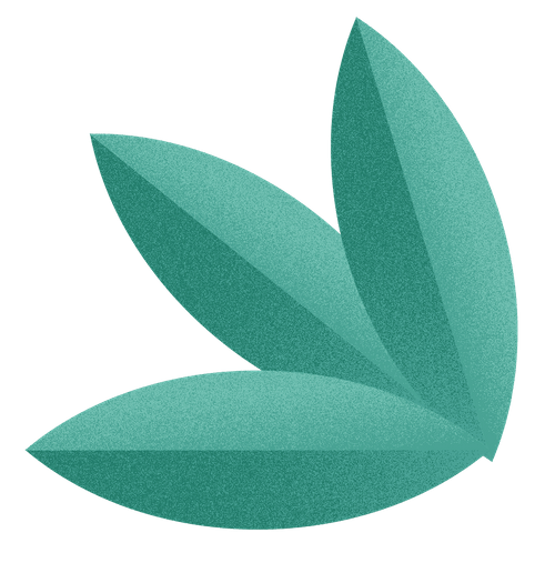 Mojo Market | Lifestyle & Food Market in Sea Point, Cape Town