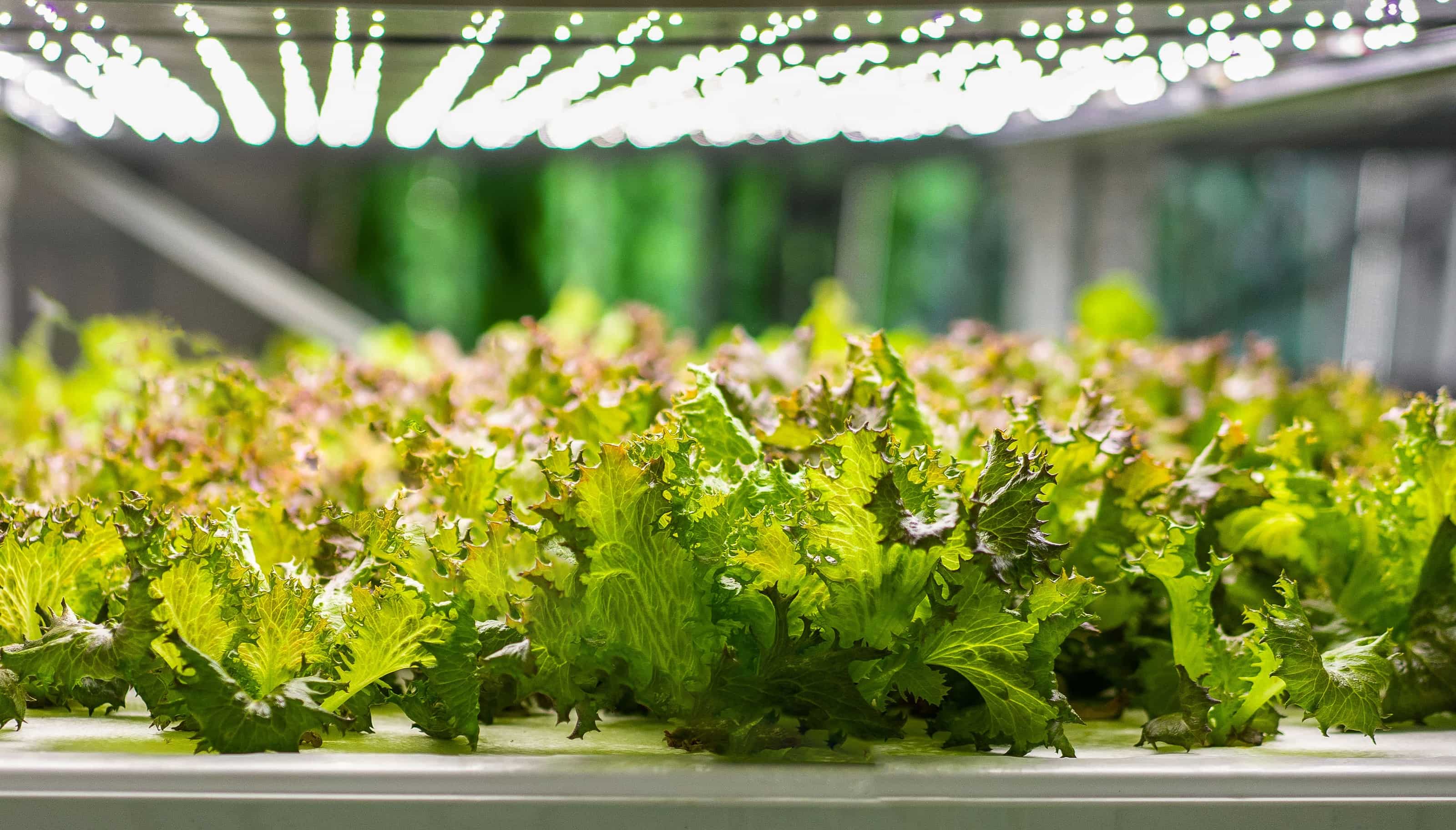 Future Farms | Building Tomorrow's Farms