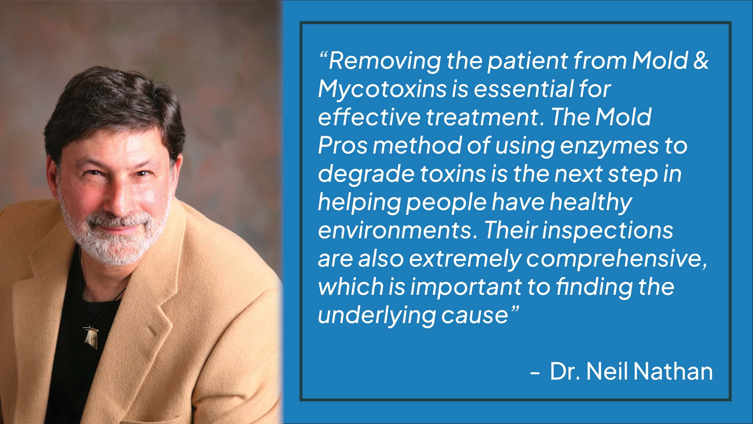 The Mold Pros | Mold Remediation & Mold Removal Company