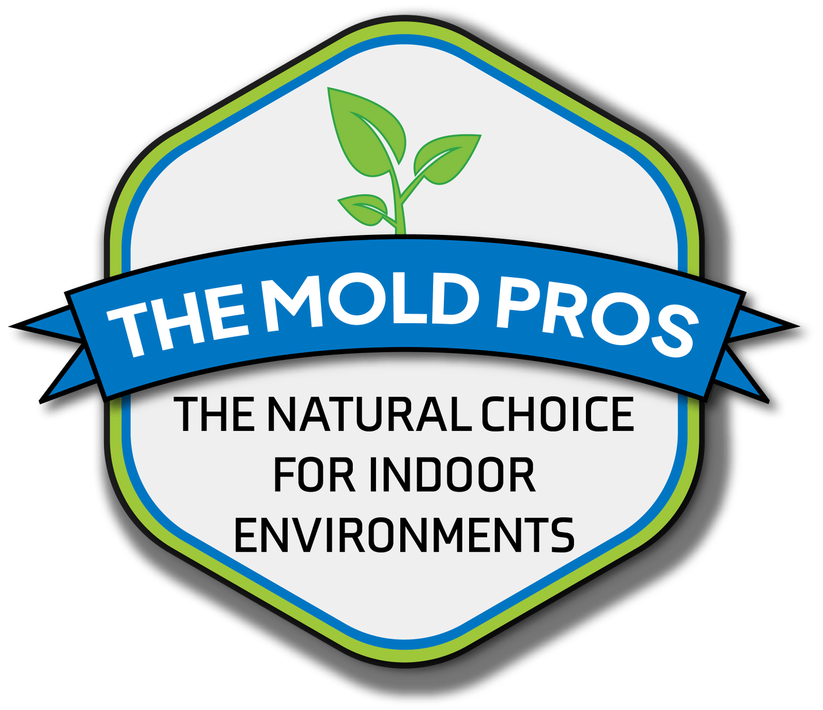 The Mold Pros | Mold Remediation & Mold Removal Company