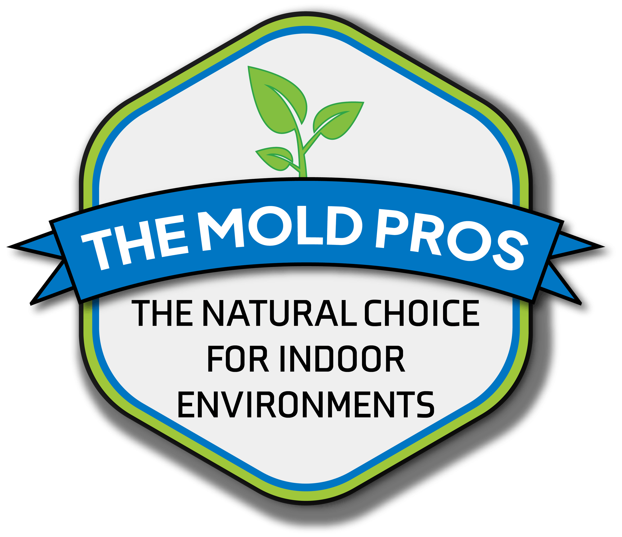 The Mold Pros | Mold Remediation & Mold Removal Company