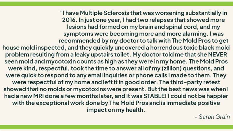 The Mold Pros | Mold Remediation & Mold Removal Company